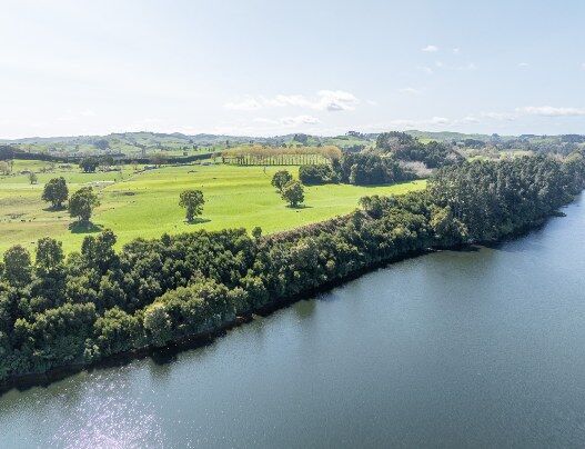 Rare chance on Lake Karapiro shores