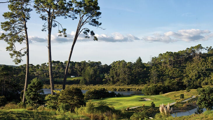 How transport infrastructure is shaping our rural areas