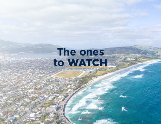 The ones to watch; Dunedin’s up and coming suburbs