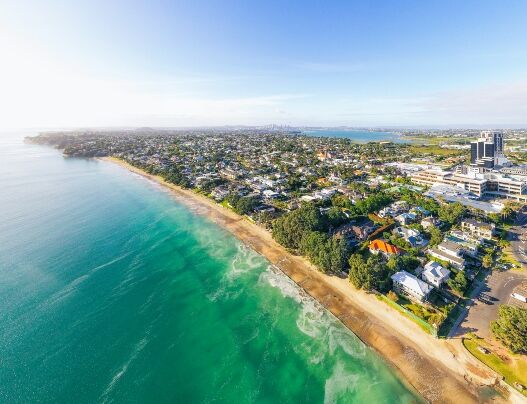 Bayleys waves in new appointment to anchor North Shore operations