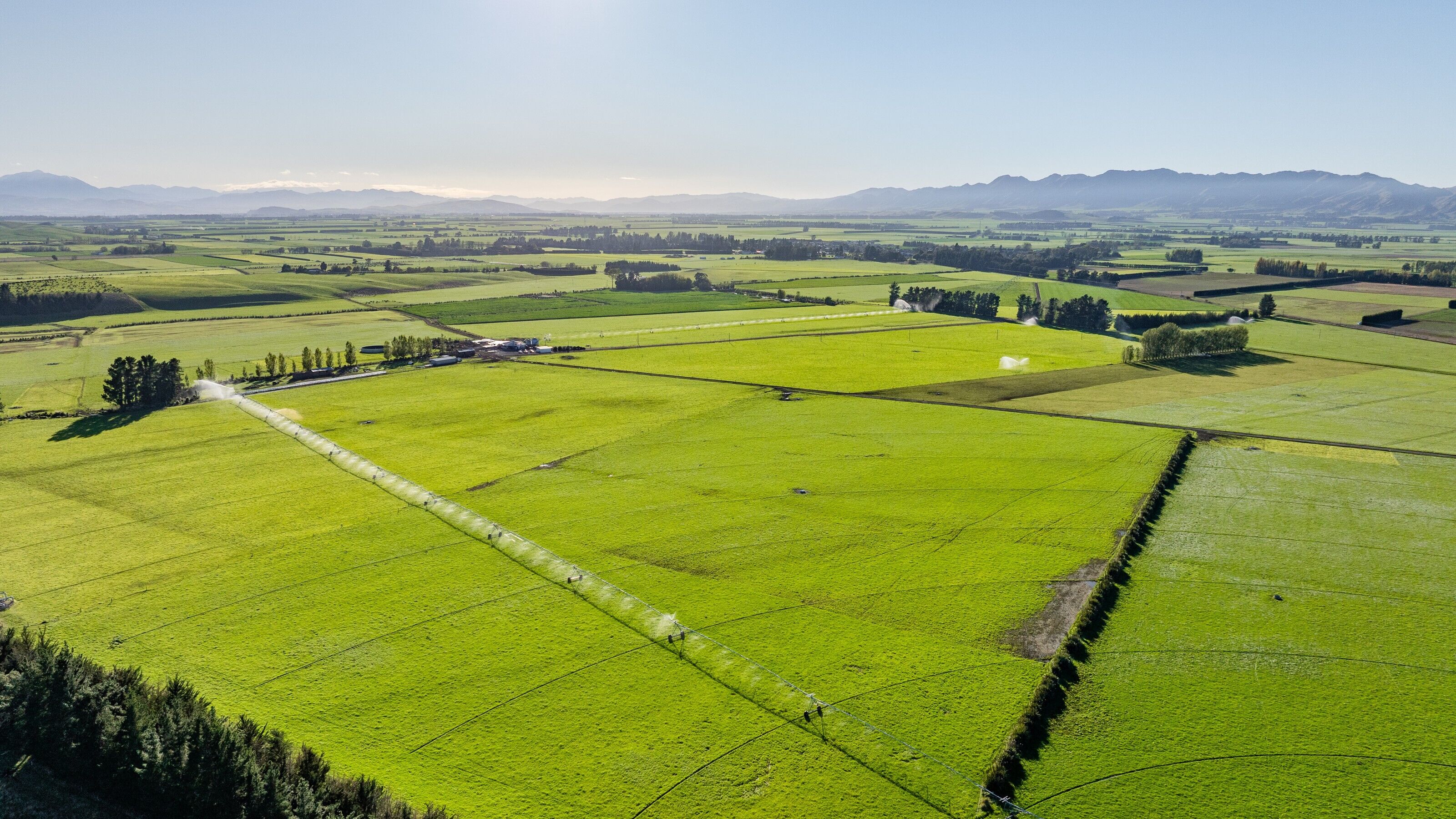 Chance to own award-winning Culverden dairy unit