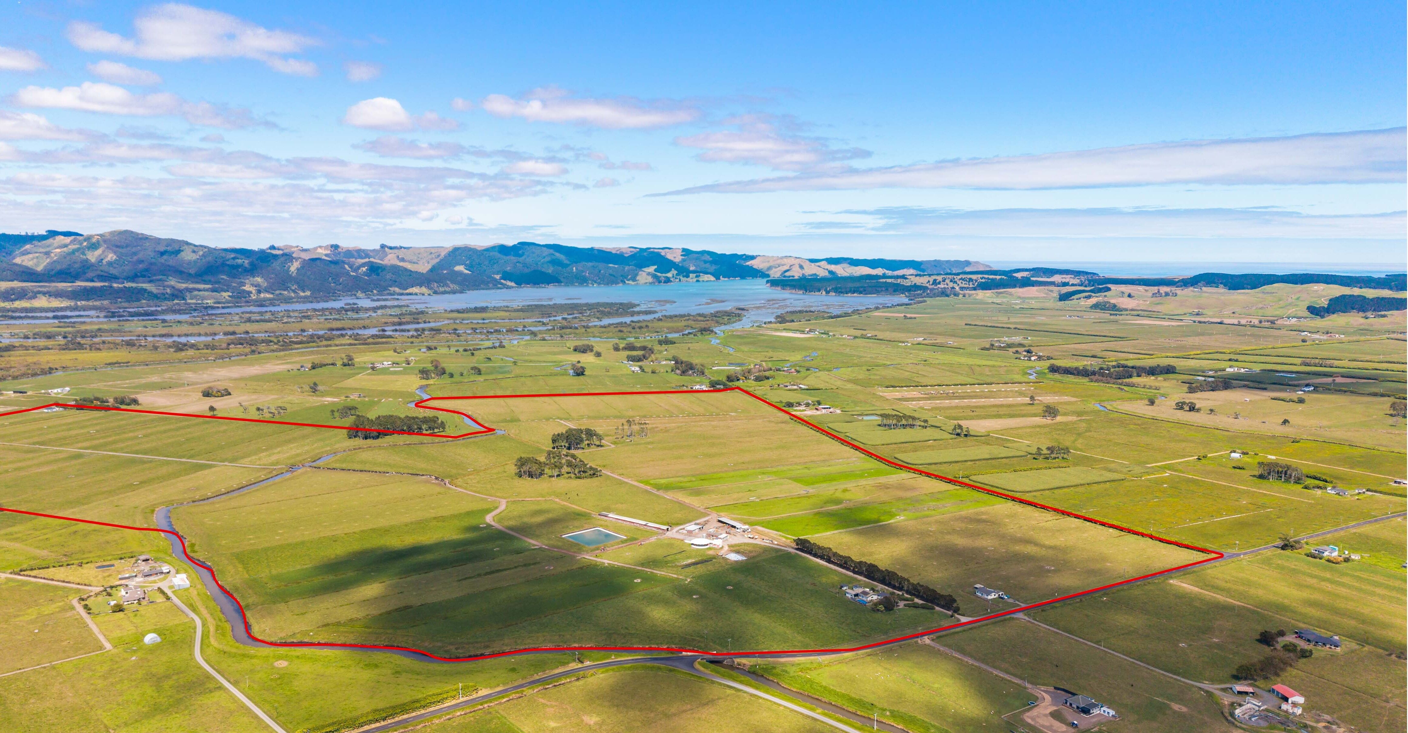 Dairy farming close to Auckland